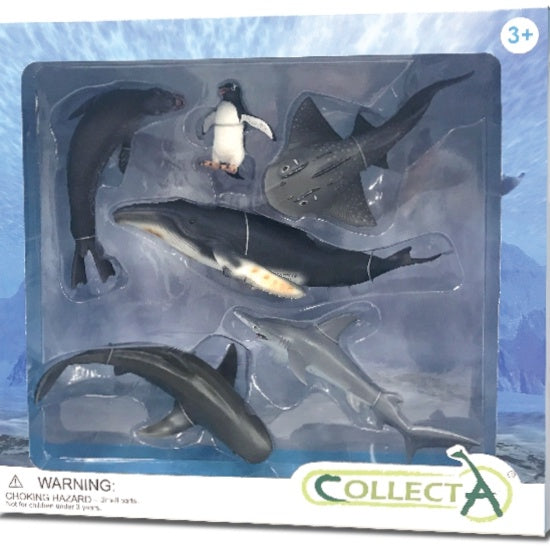 Sea Life Boxed Set, 6pcs – Nature Discoveries