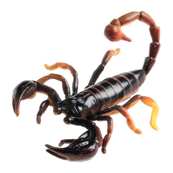 Scorpion Plastic Rep – Nature Discoveries