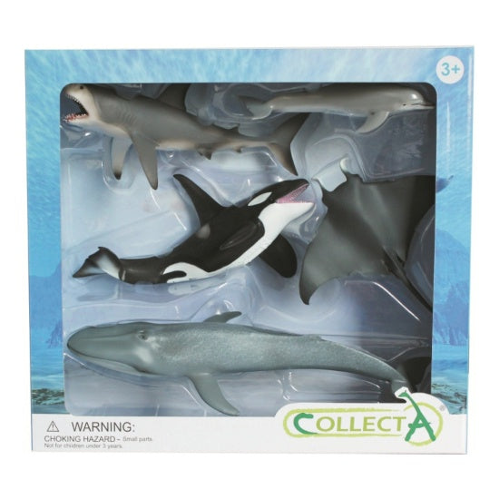 Sea Life Boxed Set, 5pcs – Nature Discoveries