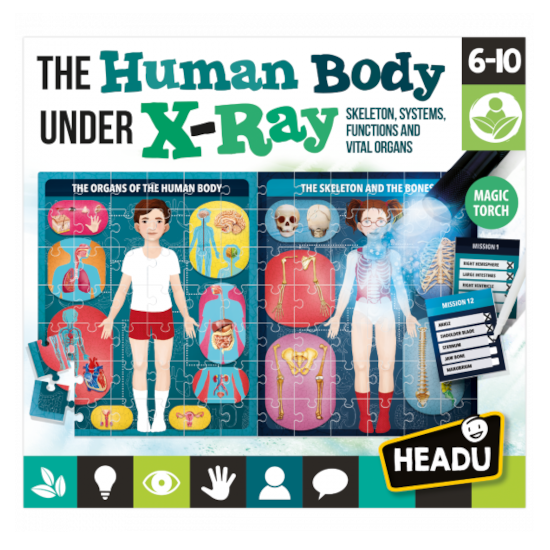 The Human Body under X-Ray – Nature Discoveries