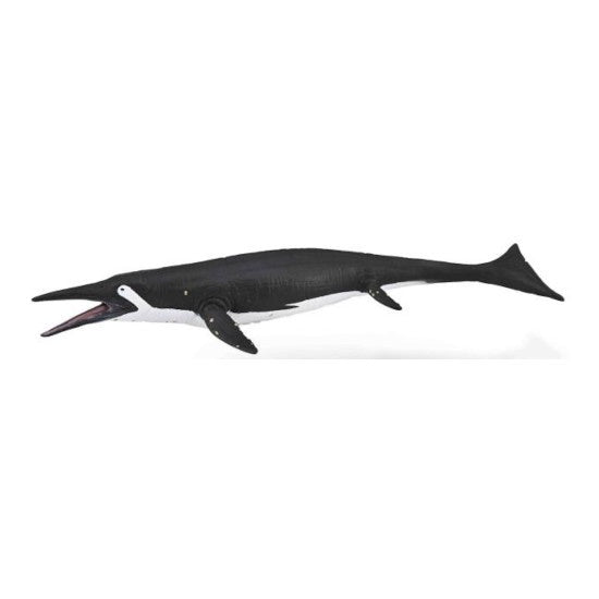 Shastasaurus L – Nature Discoveries